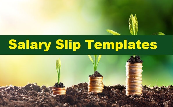 sst301 | Sample Formats