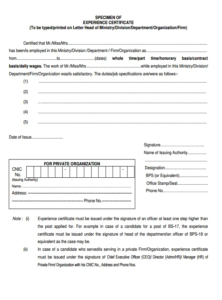 Experience Certificate Specimen Template | Sample Formats