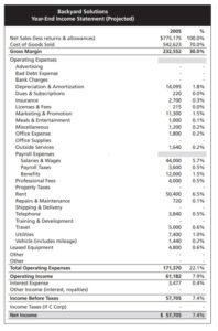 Projected Income Statement Example | Sample Formats